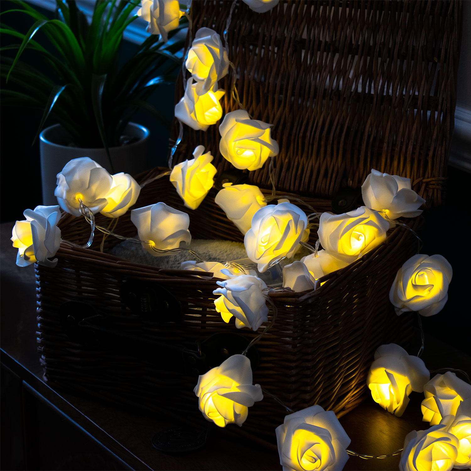 30 LED White Rose String Lights