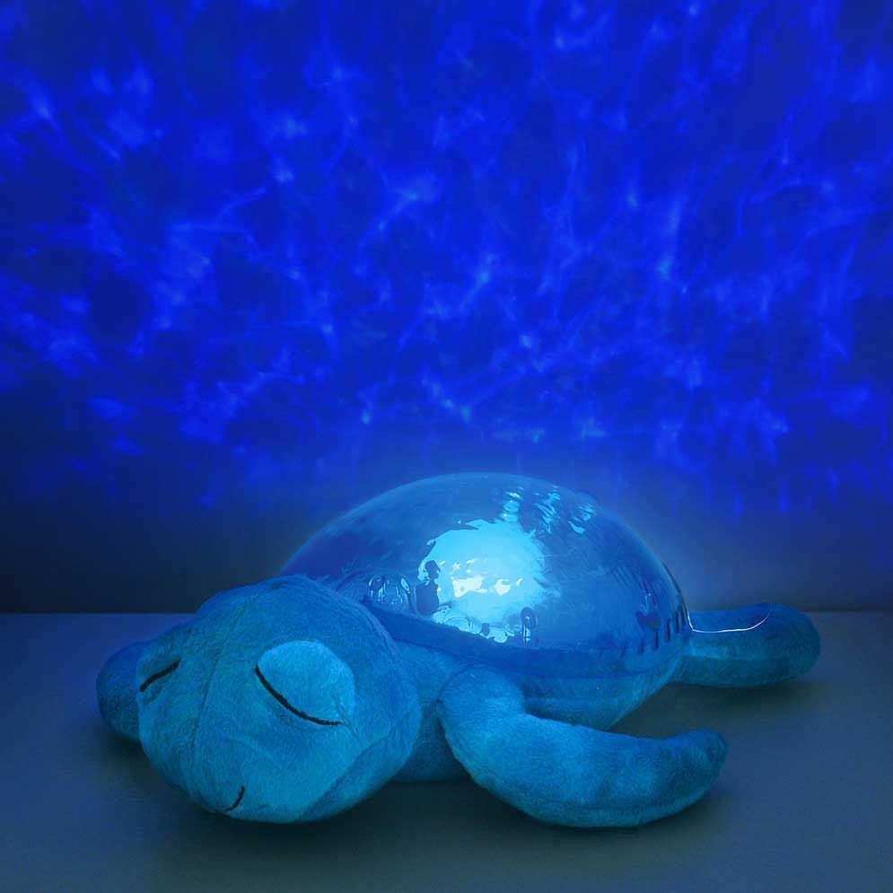Tranquil Turtle Aqua